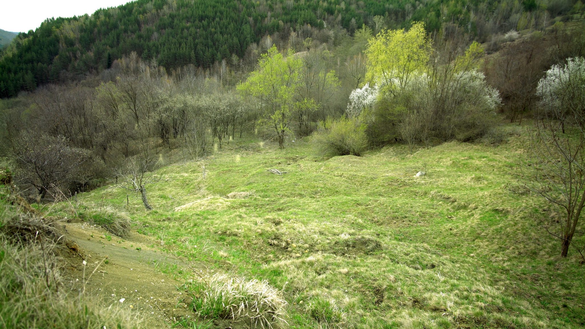 Ielele, fascinanta poveste a unui mit adevărat - Evenimentul Istoric