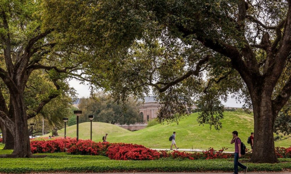 Movile de pământ identificate ca fiind cele mai vechi structuri create ...