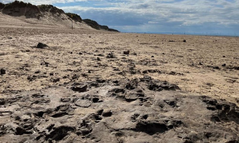 Urme antice de pași descoperite pe o plajă din Marea Britanie ...